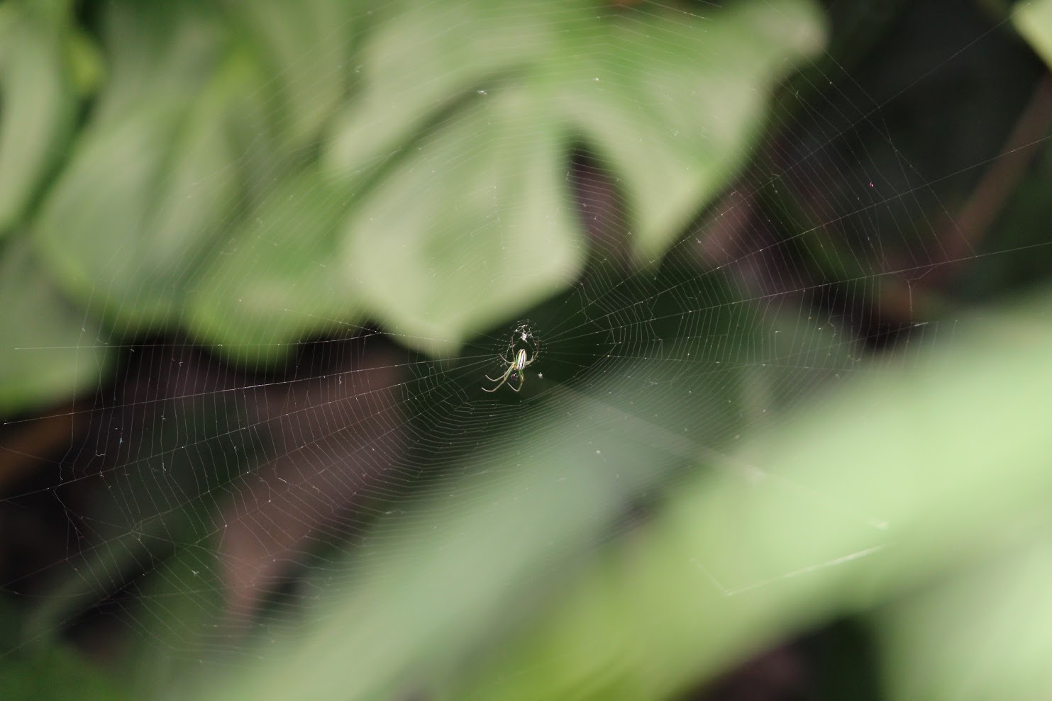 Breathtaking, literally!